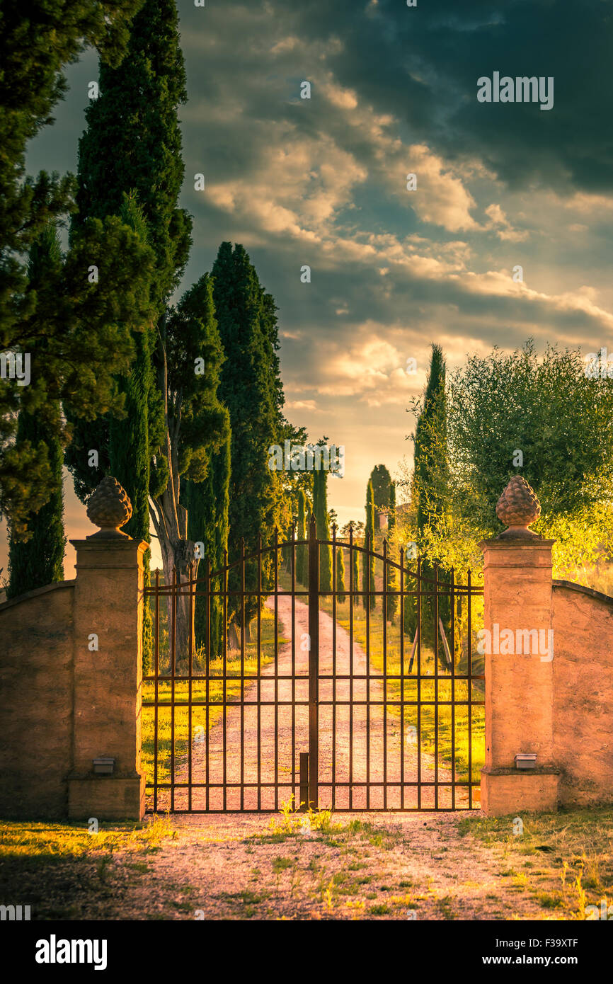Tuscany italy italian house mansion trees hi-res stock photography and ...