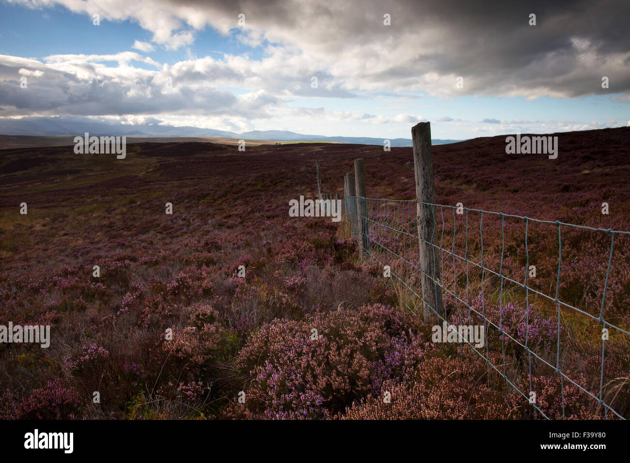 Gwylfa Hiraethog Stock Photos & Gwylfa Hiraethog Stock Images - Alamy