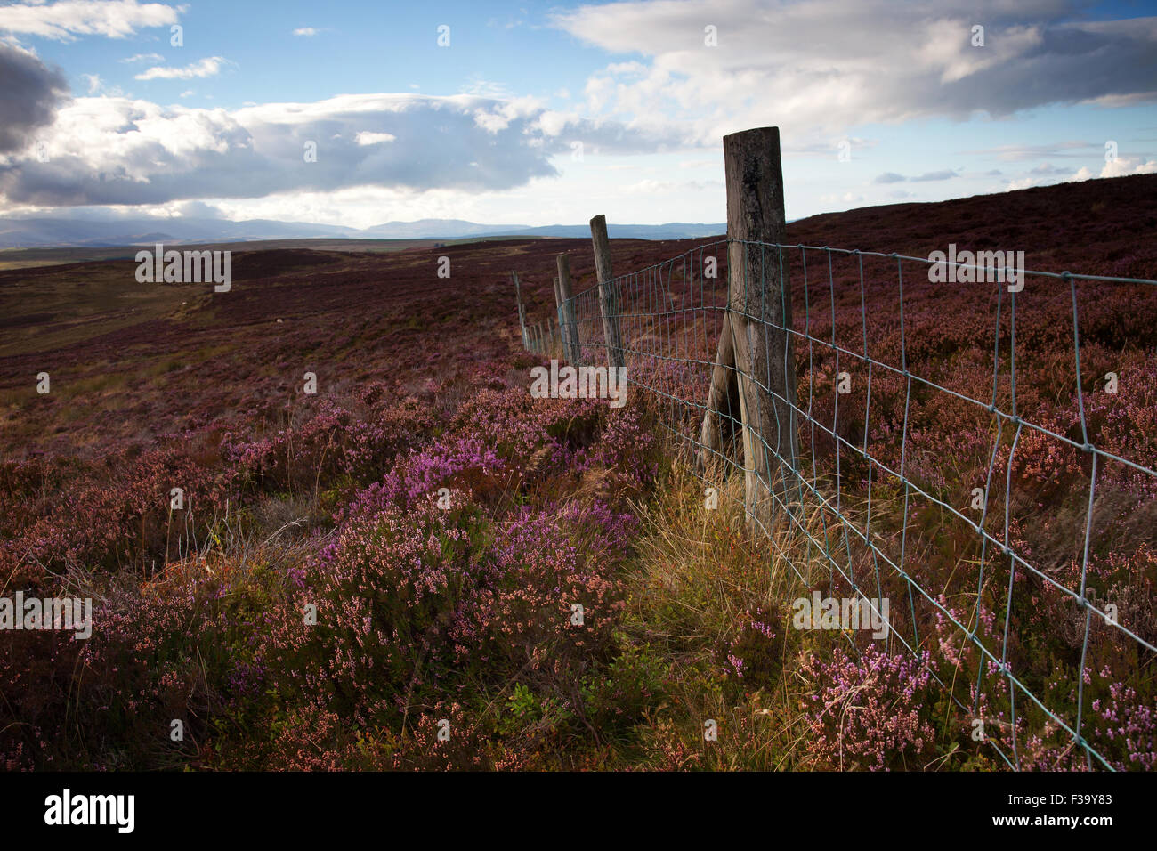 Gwylfa Hiraethog Stock Photos & Gwylfa Hiraethog Stock Images - Alamy