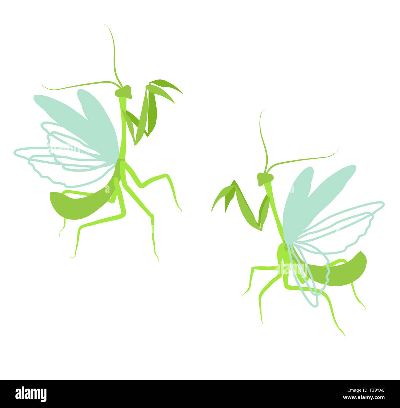 Mantis insect icon on Cut Out Stock Images & Pictures - Alamy