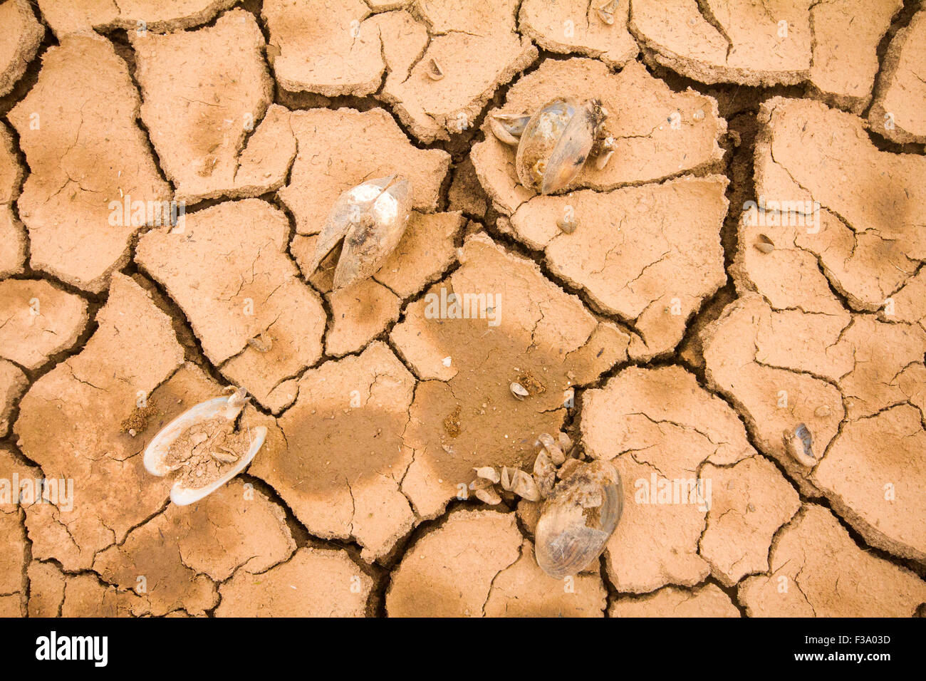 Receded surface hi-res stock photography and images - Alamy