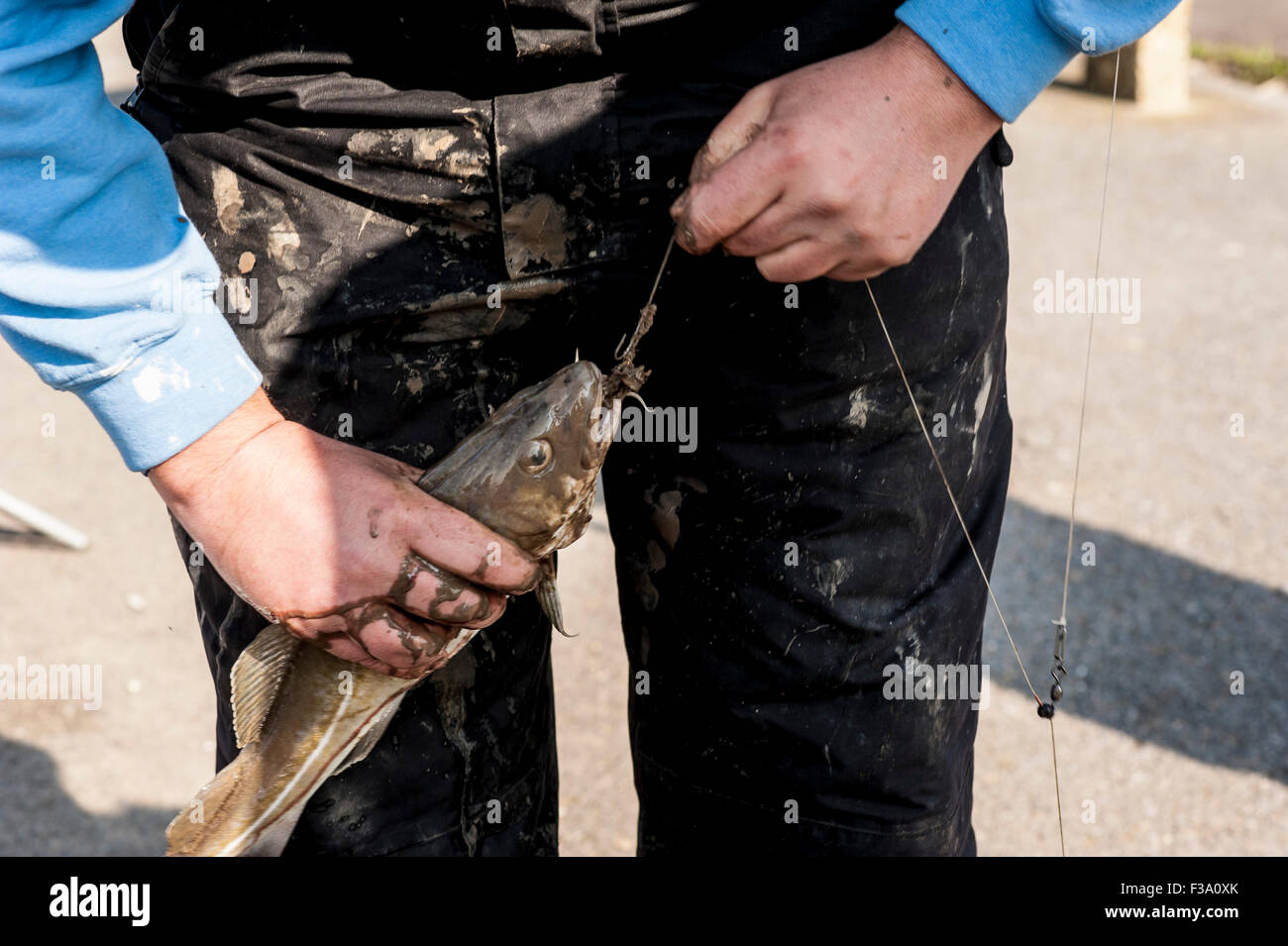 Severn Beach, UK, 2nd October, A sequence of images showing an angler ...