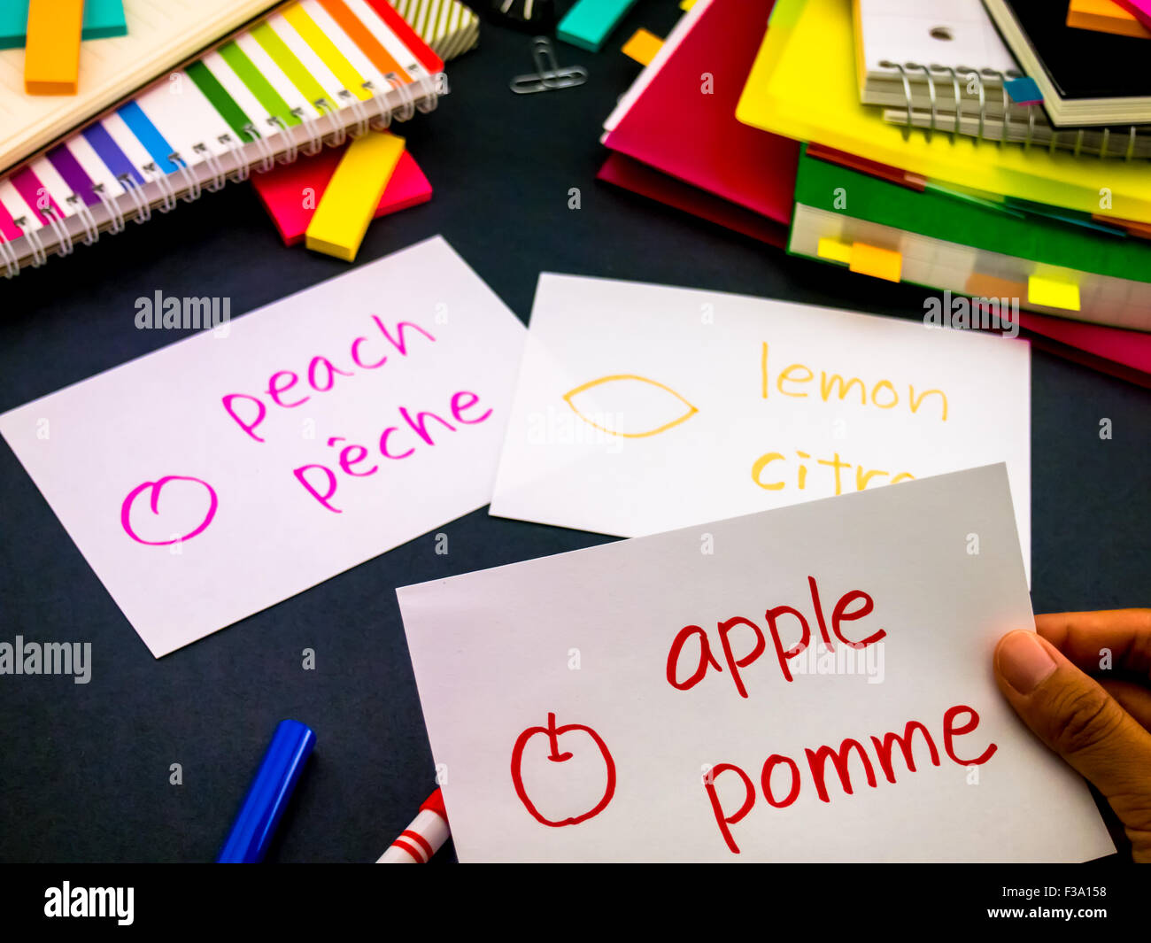 Learning New Language Making Original Flash Cards; French Stock Photo ...