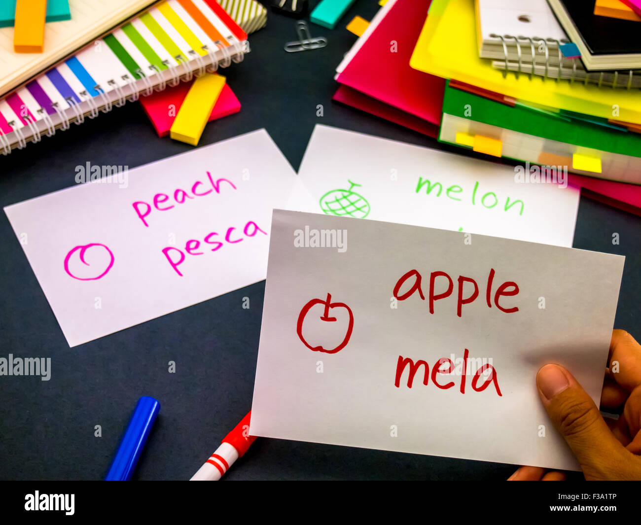 Learning New Language Making Original Flash Cards; Italian Stock Photo ...