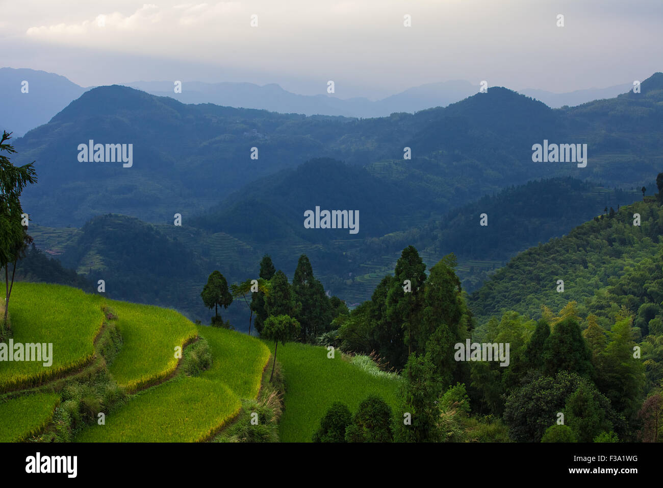 Surice hi-res stock photography and images - Alamy