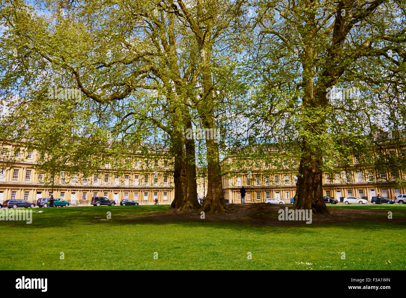 View of The Circus with green grass and trees at centre Stock Photo - Alamy