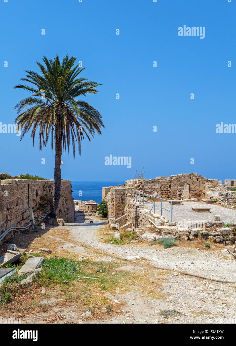 Tree inside castle ruins hi-res stock photography and images - Alamy