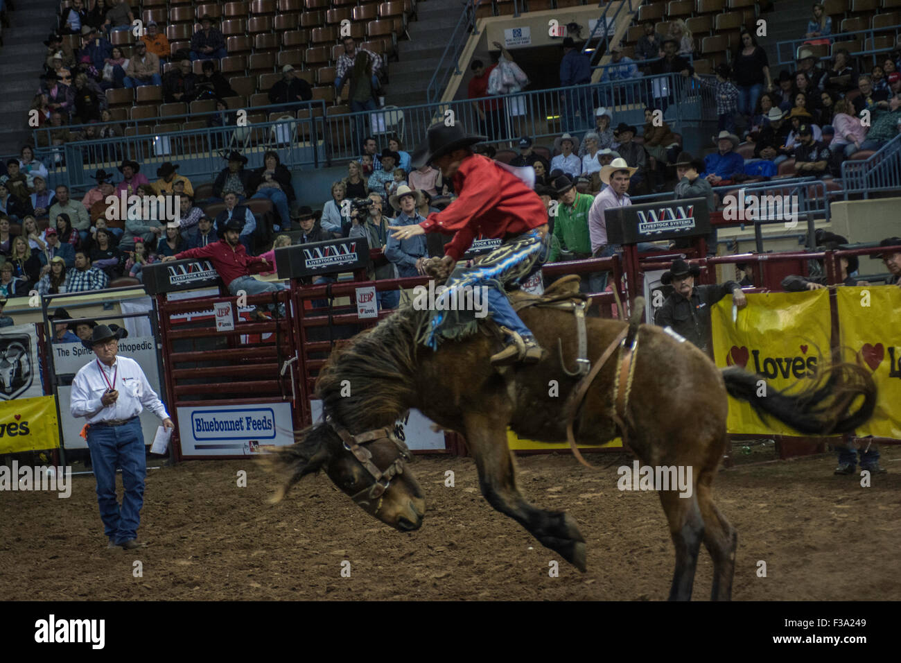 Rodeo cowboy falling off horse hi-res stock photography and images - Alamy