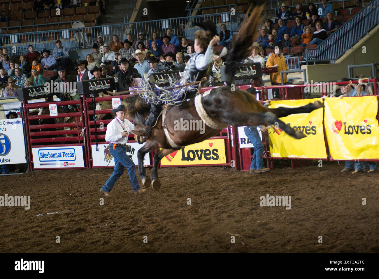 Cowboy riding bucking horse during rodeo in Oklahoma City, Oklahoma ...