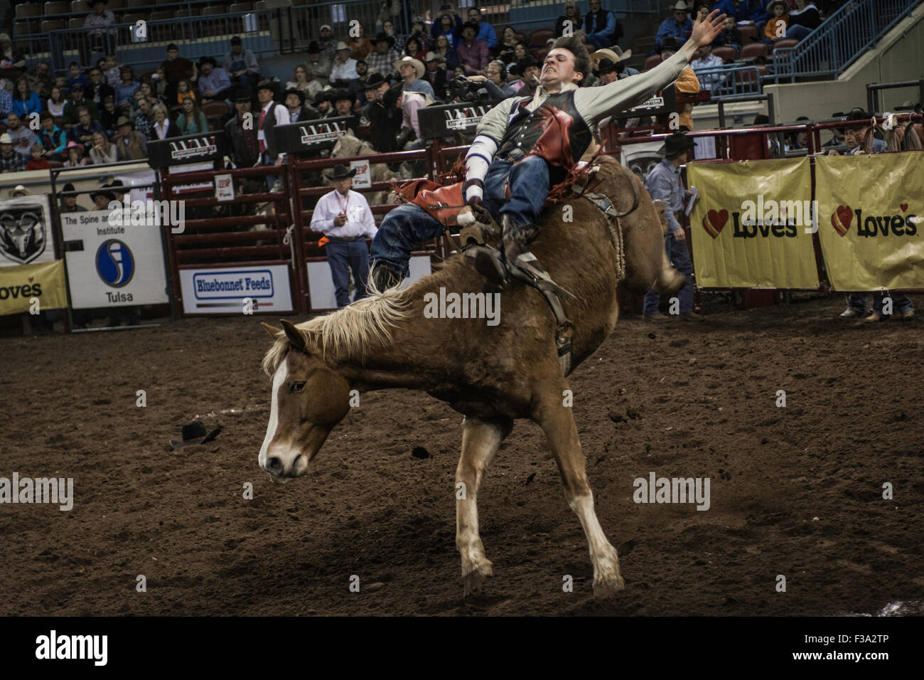 Rodeo cowboy falling off horse hi-res stock photography and images - Alamy