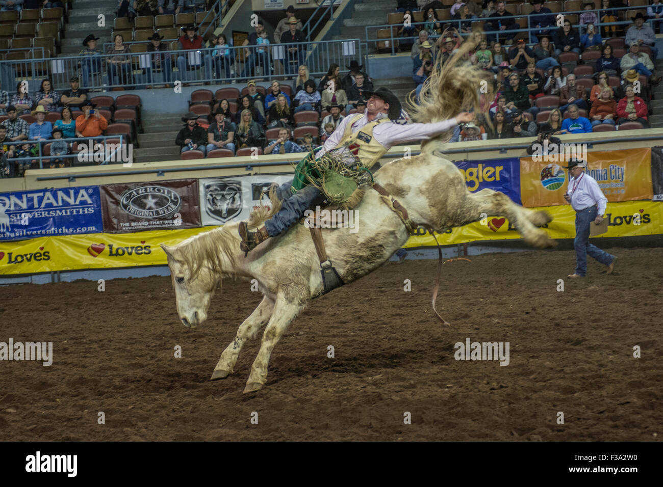 Cowboy riding bucking horse during rodeo in Oklahoma City, Oklahoma ...