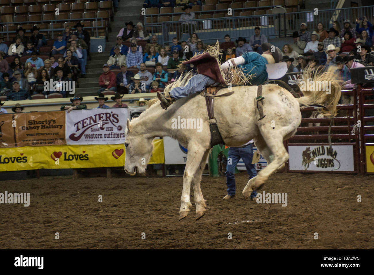 Cowboy riding bucking horse during rodeo in Oklahoma City, Oklahoma ...
