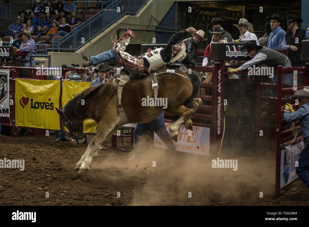 Cowboy riding bucking horse during rodeo in Oklahoma City, Oklahoma ...