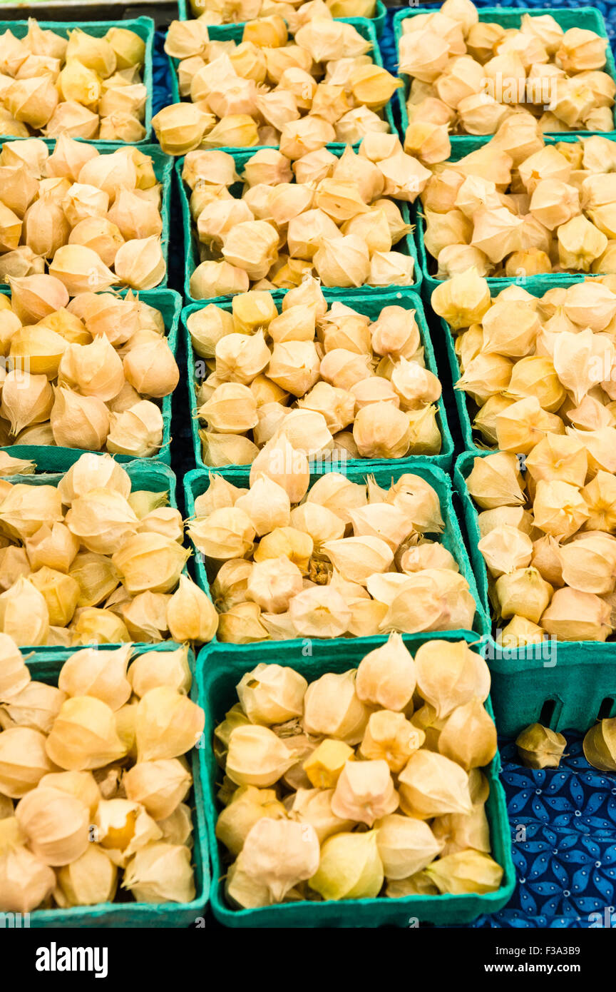 Ground cherries in small boxes at the farm market Stock Photo - Alamy