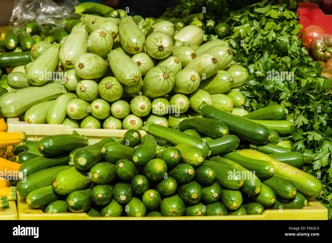 Green squash display at the farm market Stock Photo - Alamy