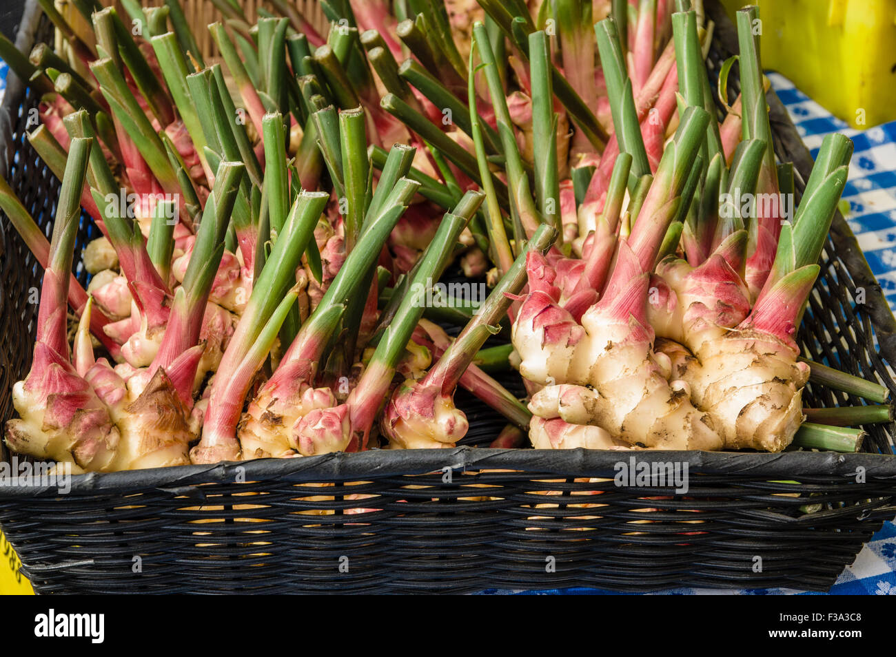 Stems root hi-res stock photography and images - Alamy