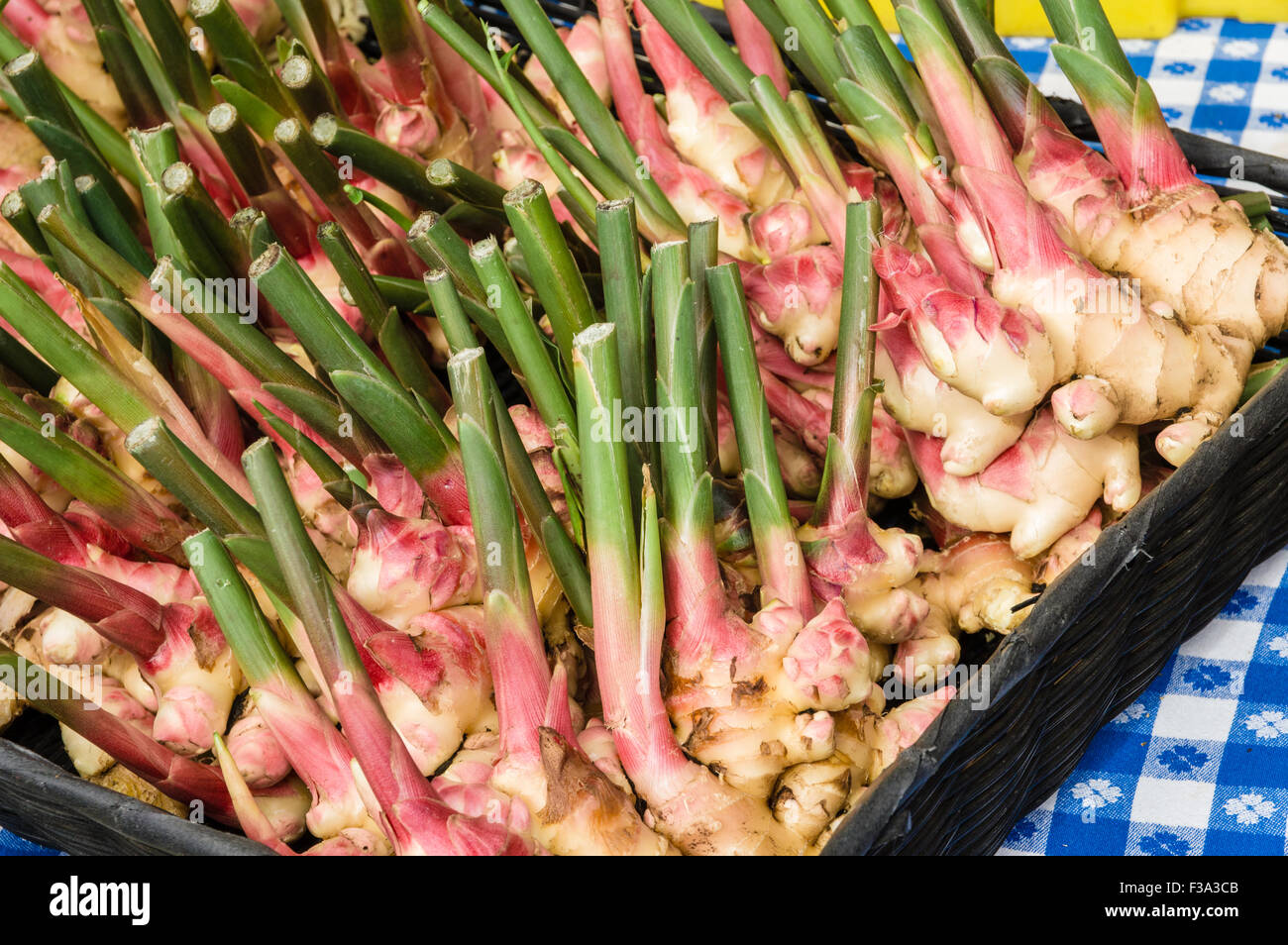 Ginger display hi-res stock photography and images - Alamy
