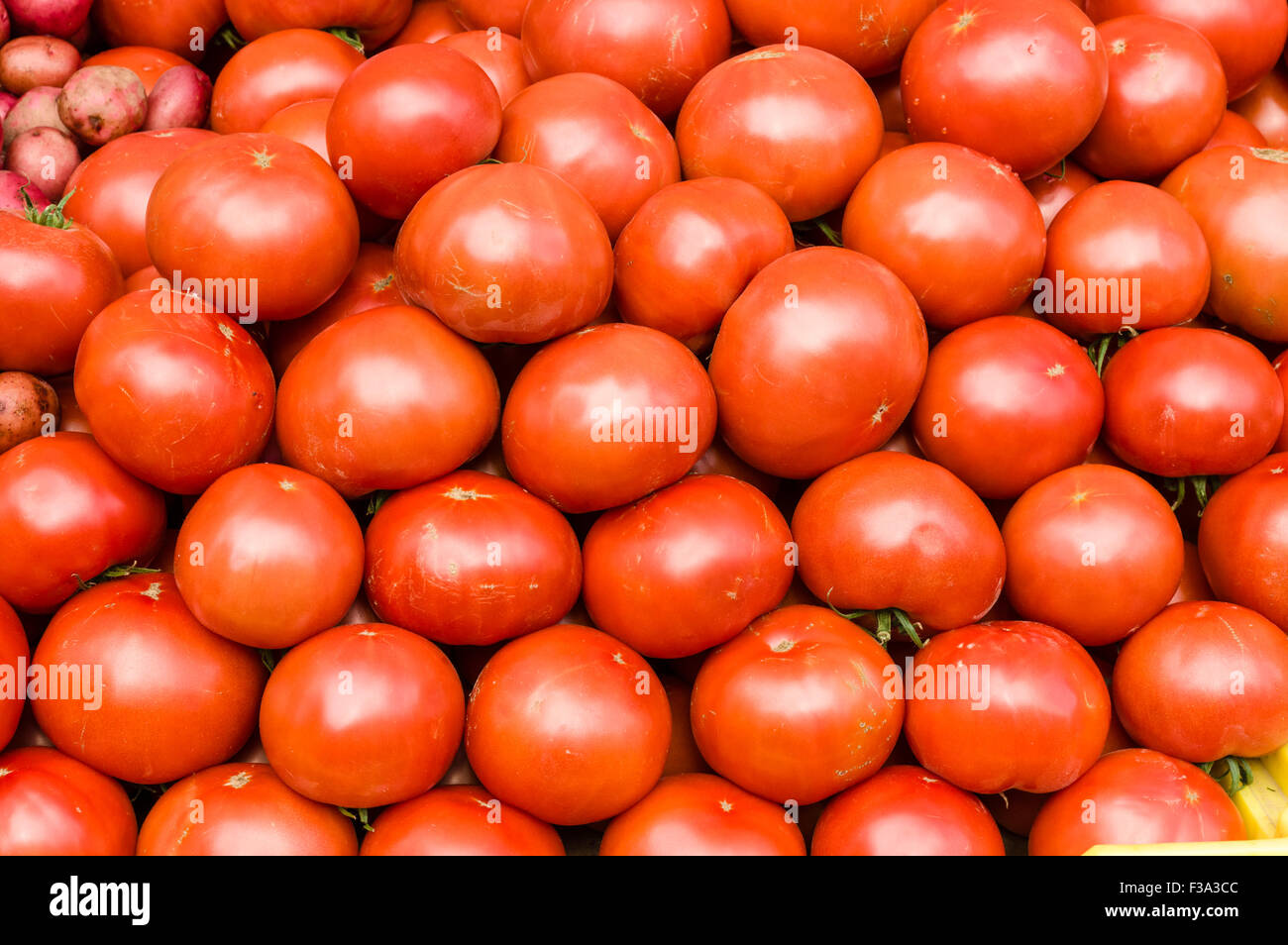 Large display of red ripe tomatoes at the farm market Stock Photo - Alamy