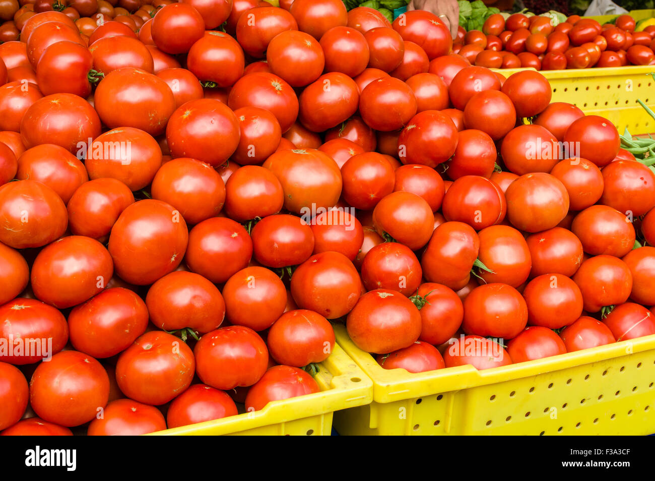 Large display of red ripe tomatoes at the farm market Stock Photo - Alamy