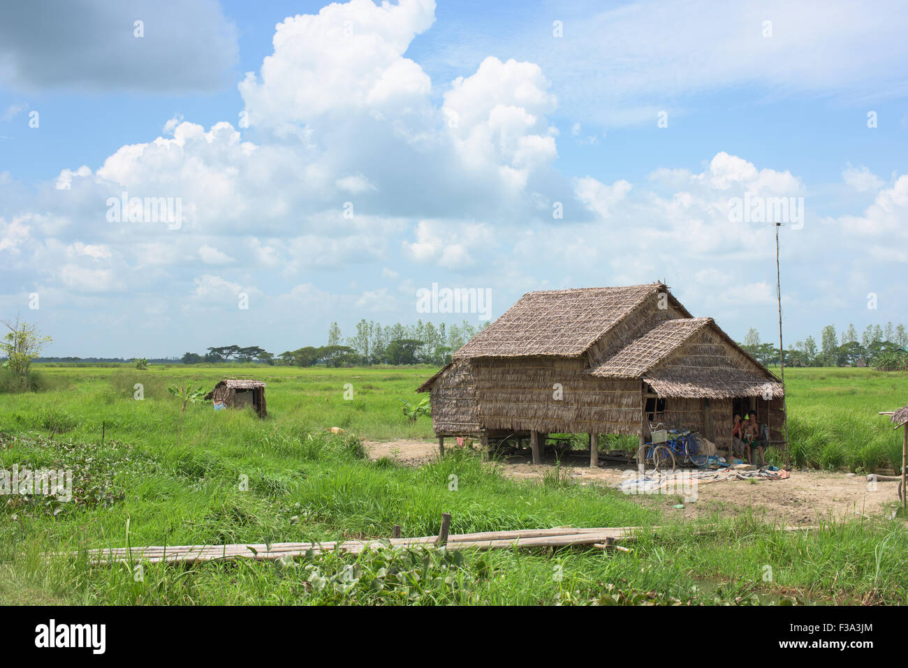 Farm near Pyin Ywa in the Ayeyarwady Region of Myanmar Stock Photo - Alamy
