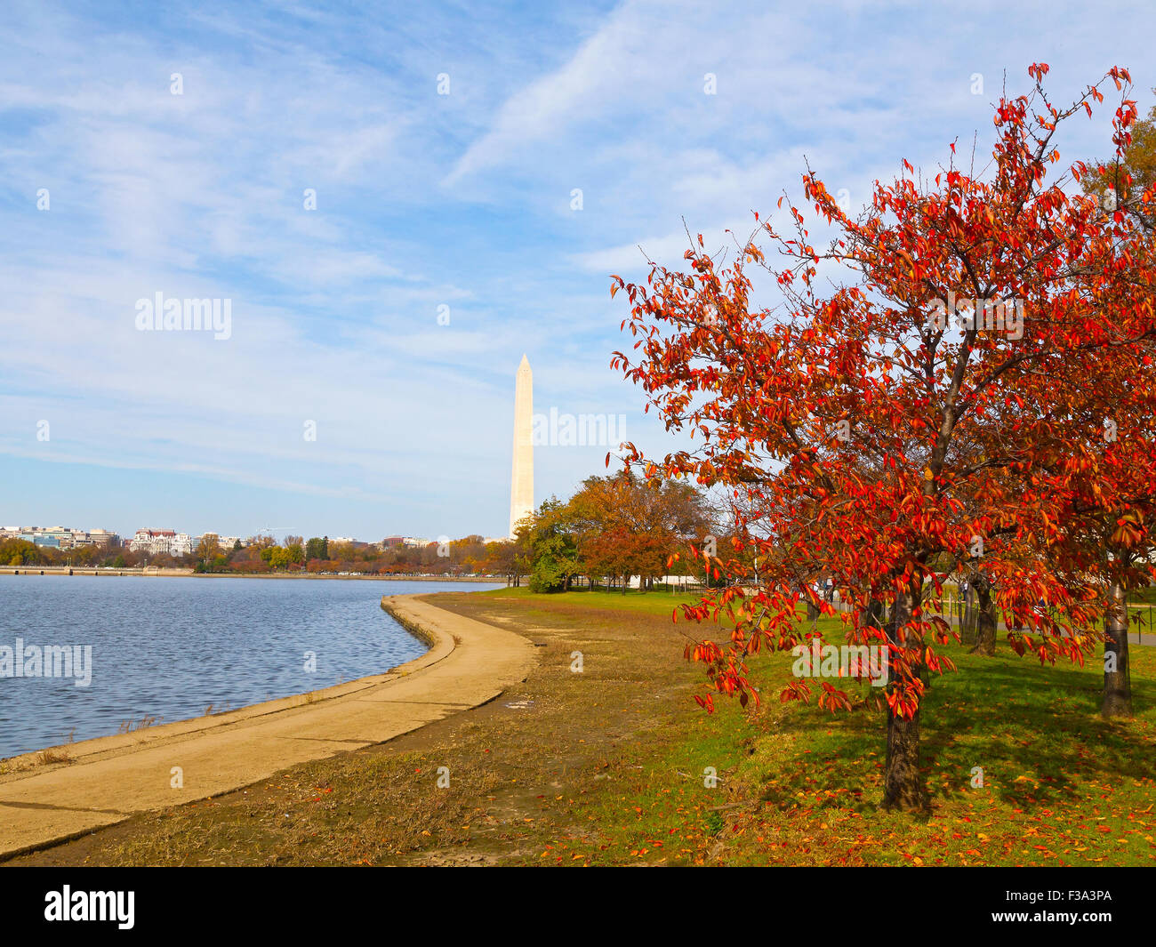 Tidal basin fall foliage hi-res stock photography and images - Alamy