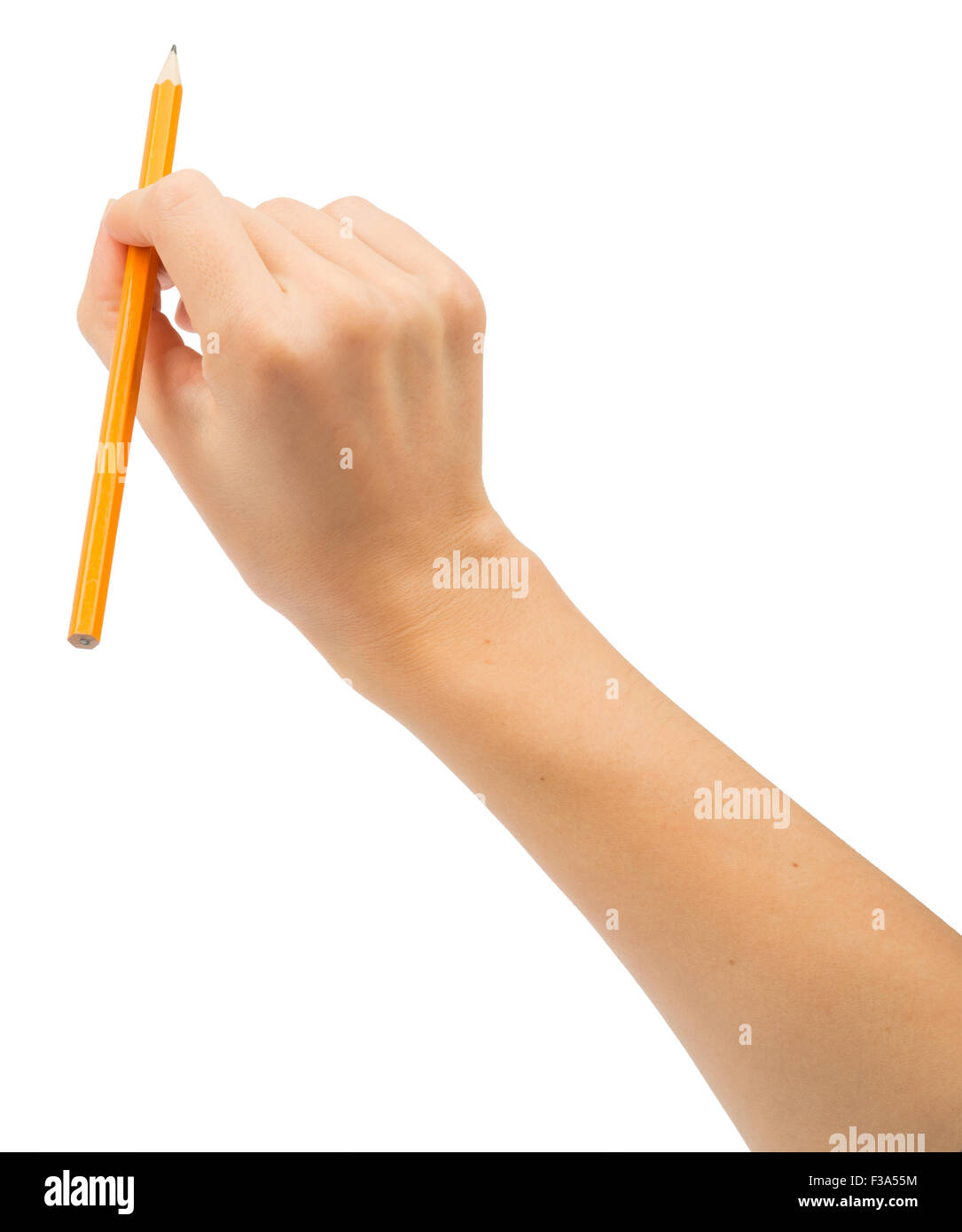 Humans hand holding yellow pencil Stock Photo - Alamy