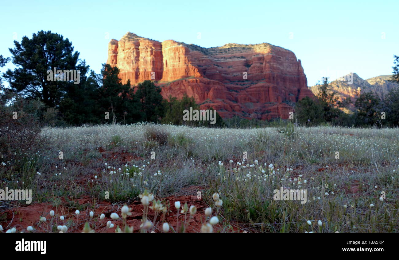 Red Rock State Park, Sedona, AZ, USA Stock Photo - Alamy