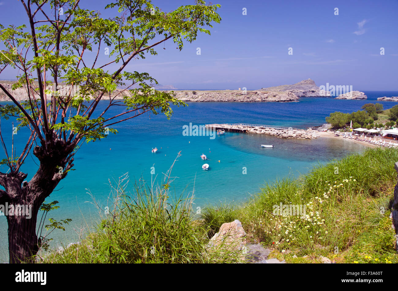 beautiful resort landscape with a beach and a tree in Rhodes Stock ...