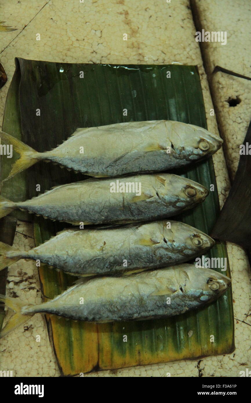 Four fish hi-res stock photography and images - Alamy