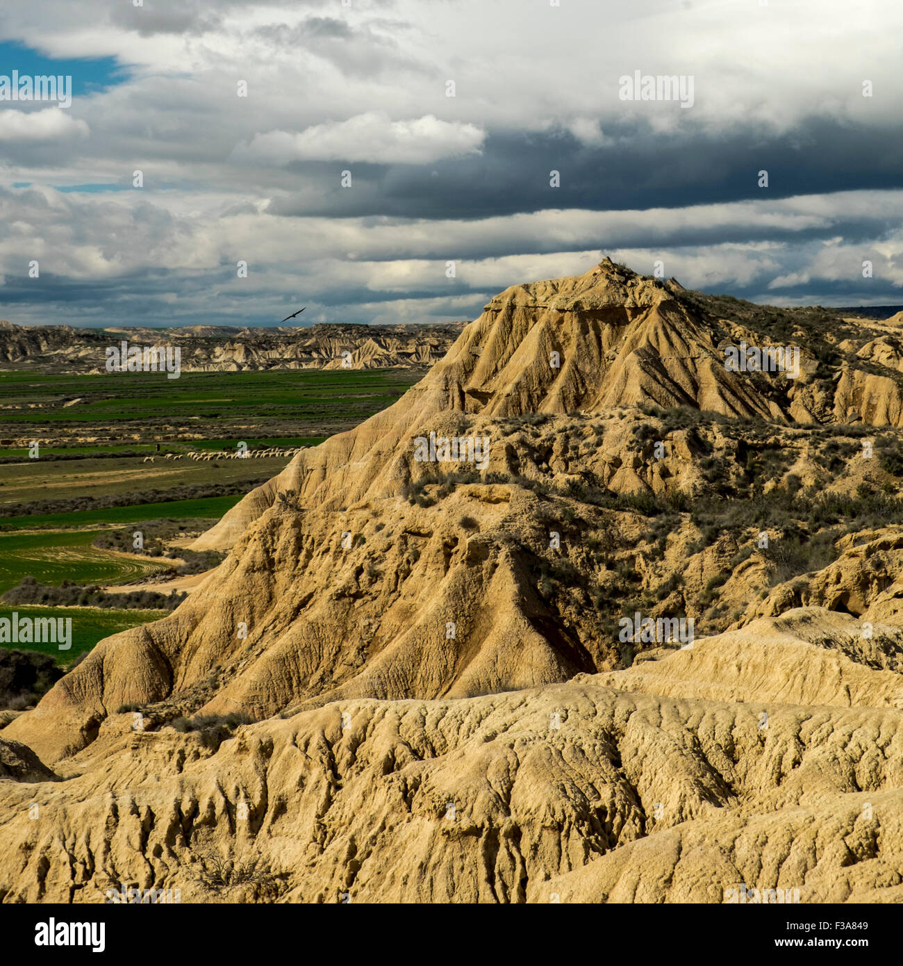 Bardenas Reales of Navarre Nature Park, Navarre, Spain Stock Photo - Alamy