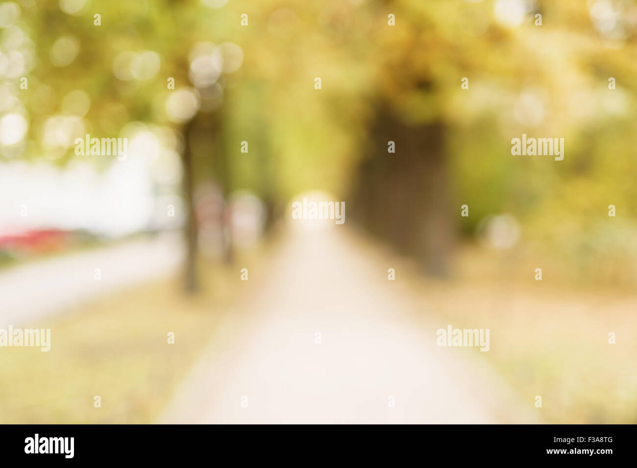 Autumn bokeh hi-res stock photography and images - Alamy