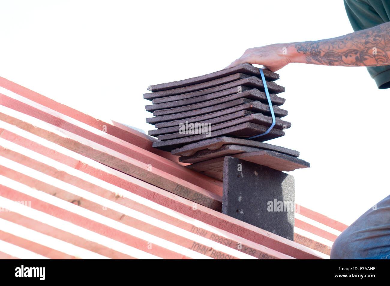 Roofer stacking tiles on roof ready for quick and efficient fixing in ...