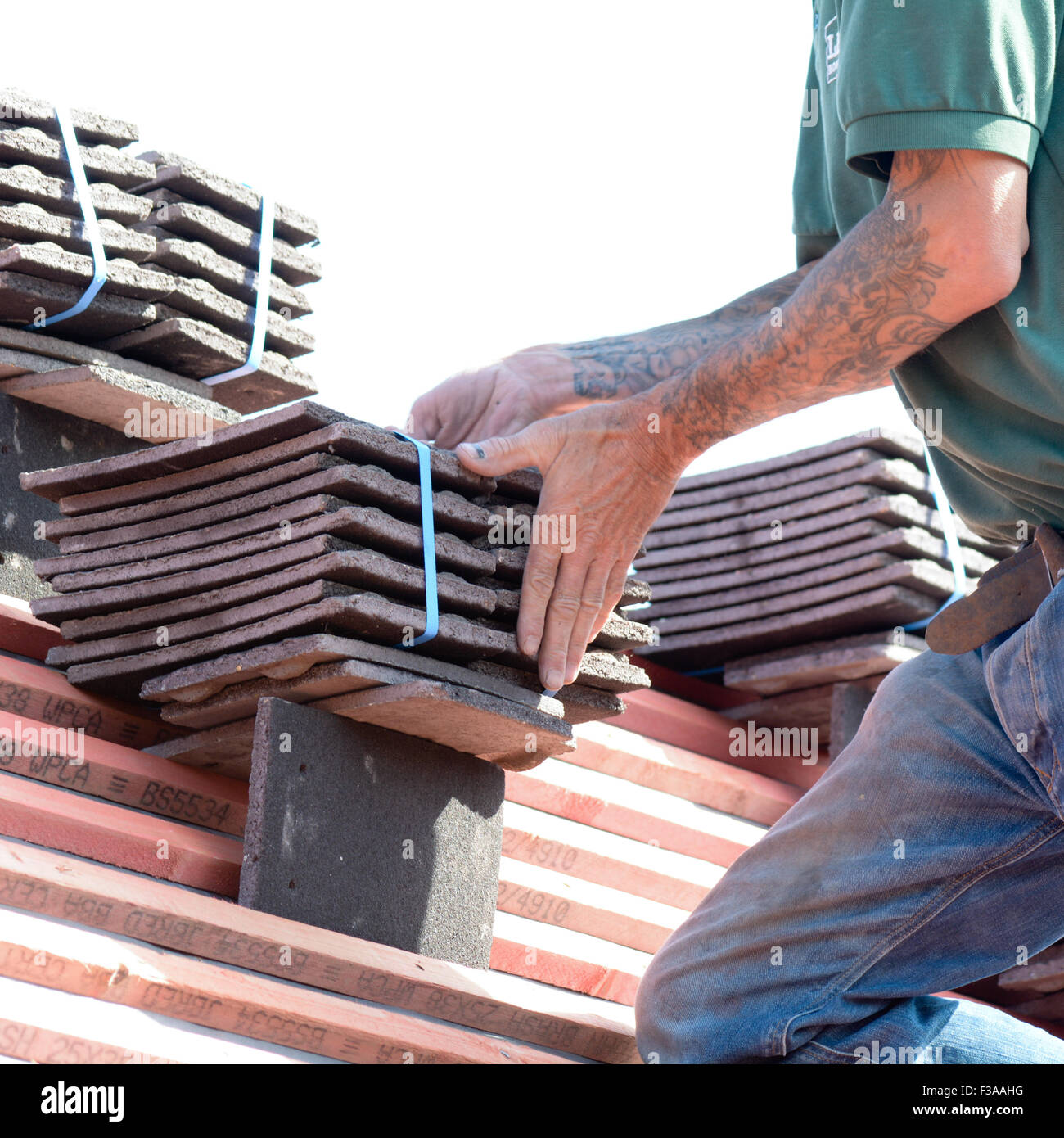 Roofer stacking tiles on roof ready for quick and efficient fixing in ...