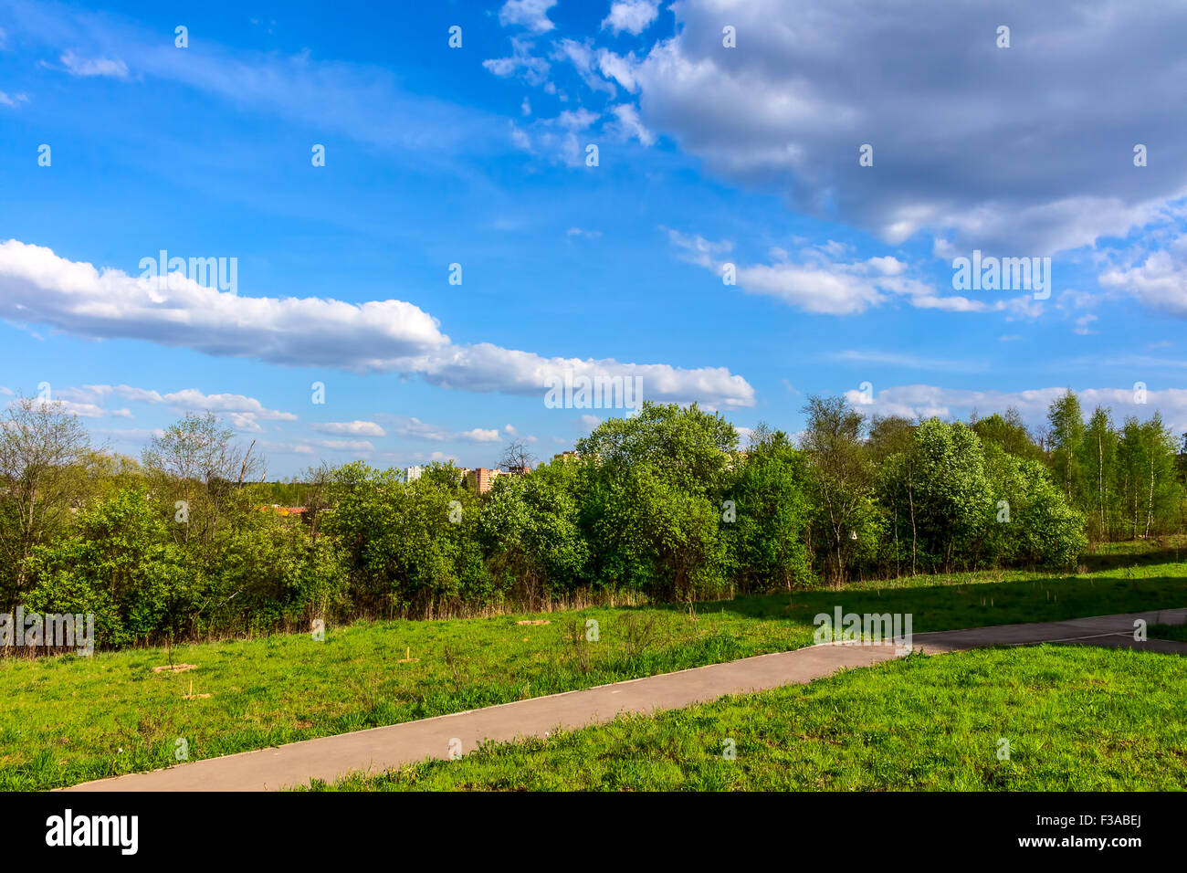 Rural landscape. The peaceful rural landscape. Deep sky with lush grass ...