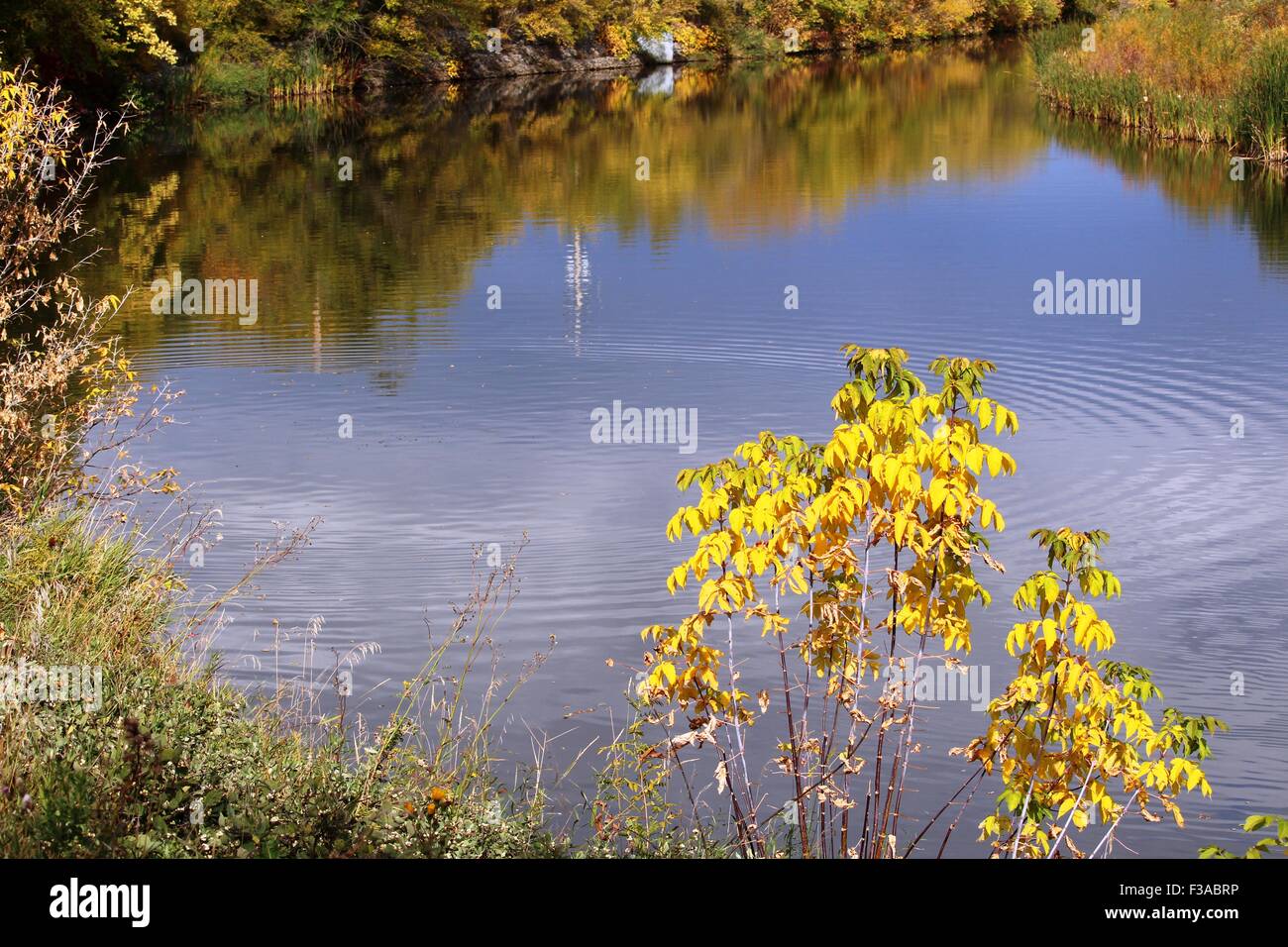 Regina creek hi-res stock photography and images - Alamy
