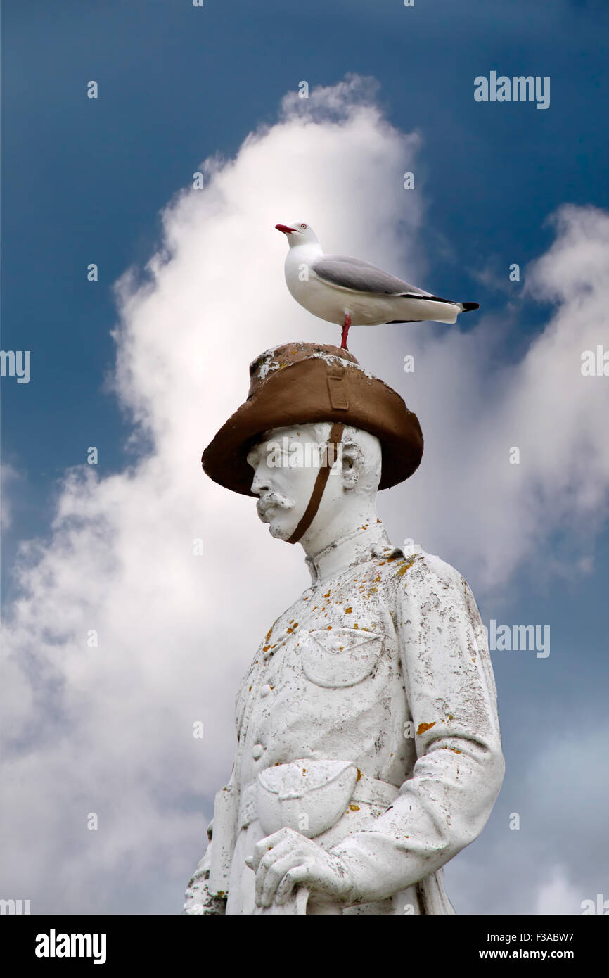 Seagull sitting on monument in Rotorua, New Zealand Stock Photo - Alamy