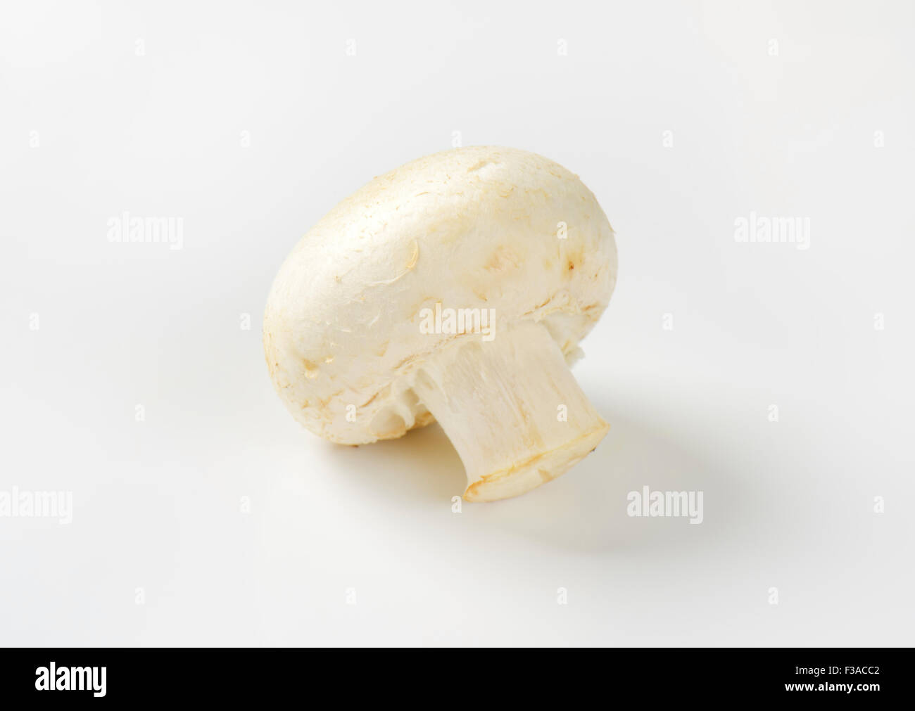 Single unpeeled white button mushroom Stock Photo - Alamy