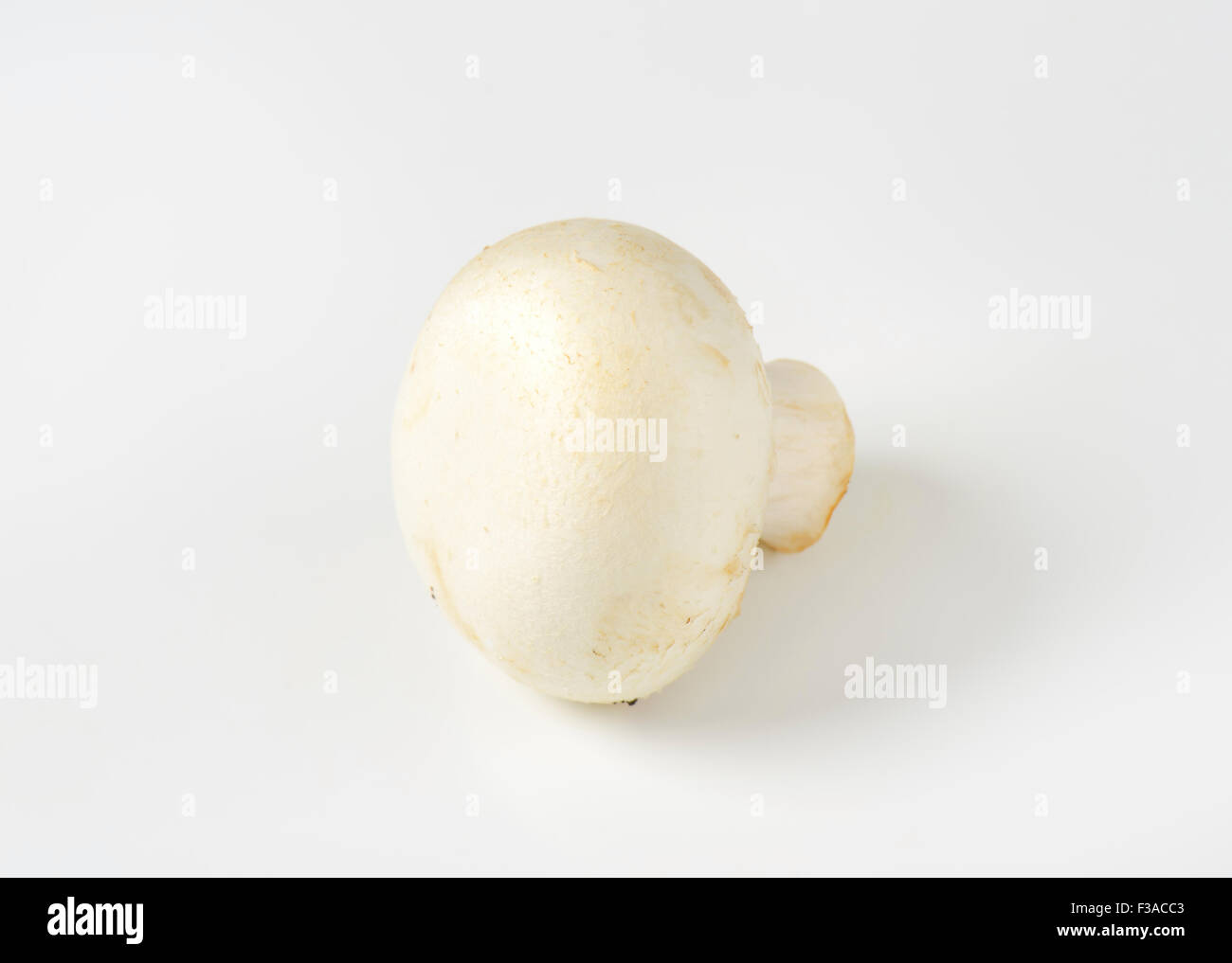 Single unpeeled white button mushroom Stock Photo - Alamy