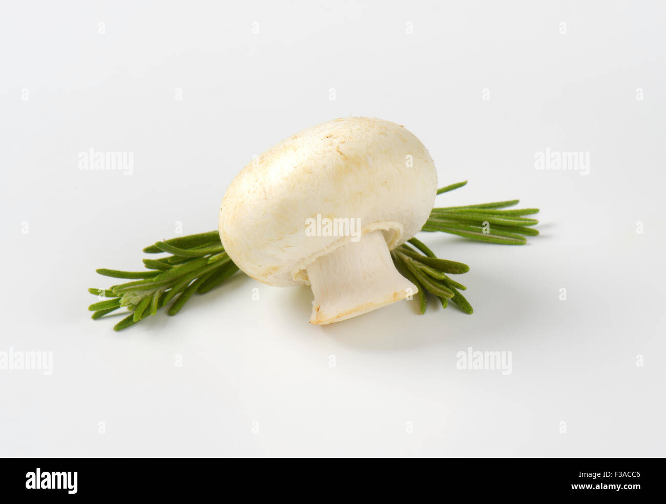 Single unpeeled white button mushroom Stock Photo - Alamy