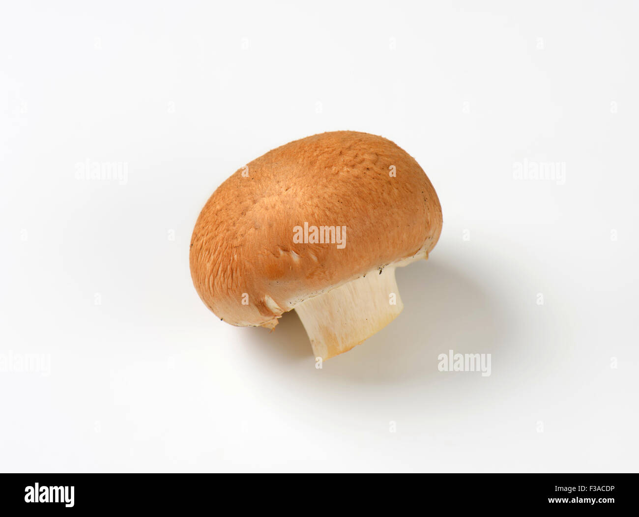 Chestnut Mushroom also known as brown cap mushroom Stock Photo - Alamy