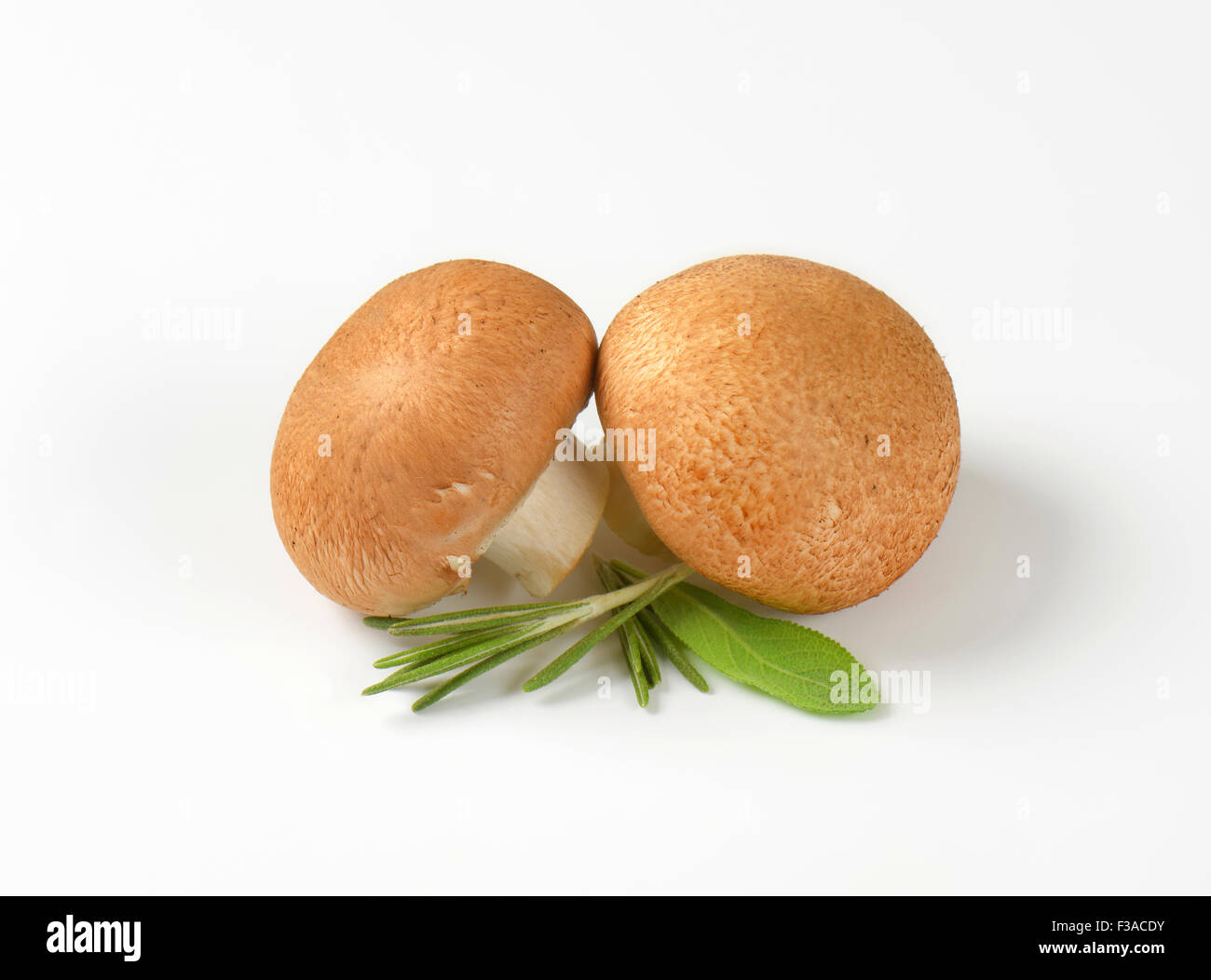 Baby portobello mushroom hi-res stock photography and images - Alamy