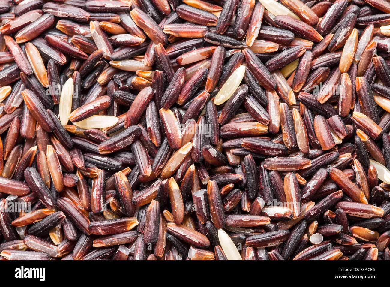 Close up of Rice-berry seed Stock Photo - Alamy