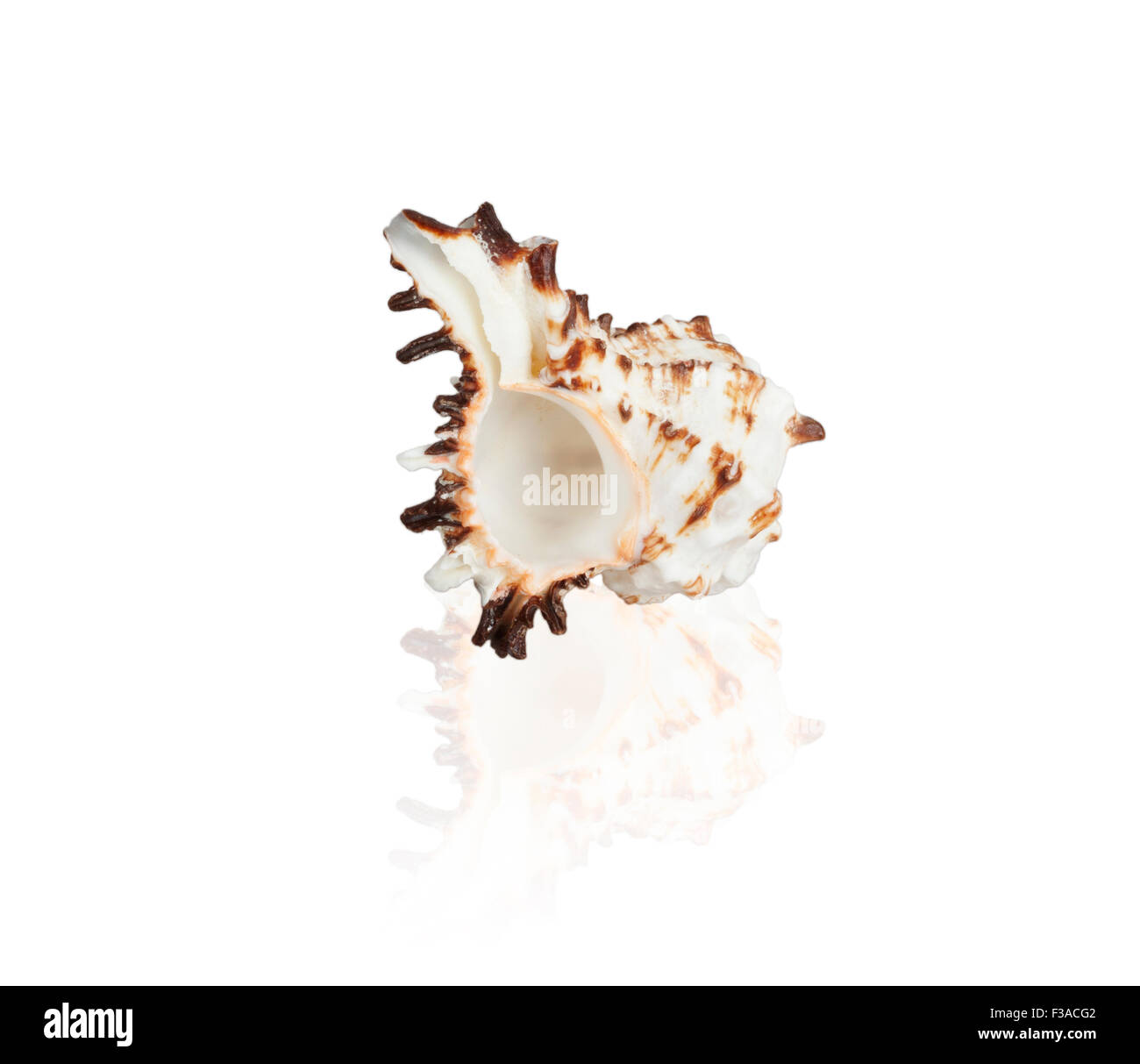 Beautiful beach seychelles Cut Out Stock Images & Pictures - Alamy