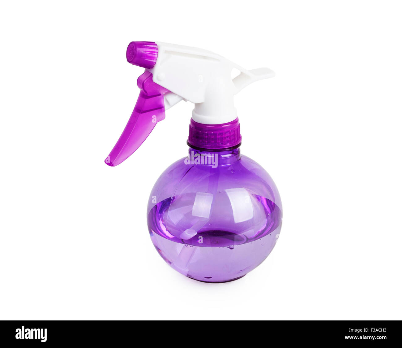 purple flower sprayer with water isolated on a white background Stock ...