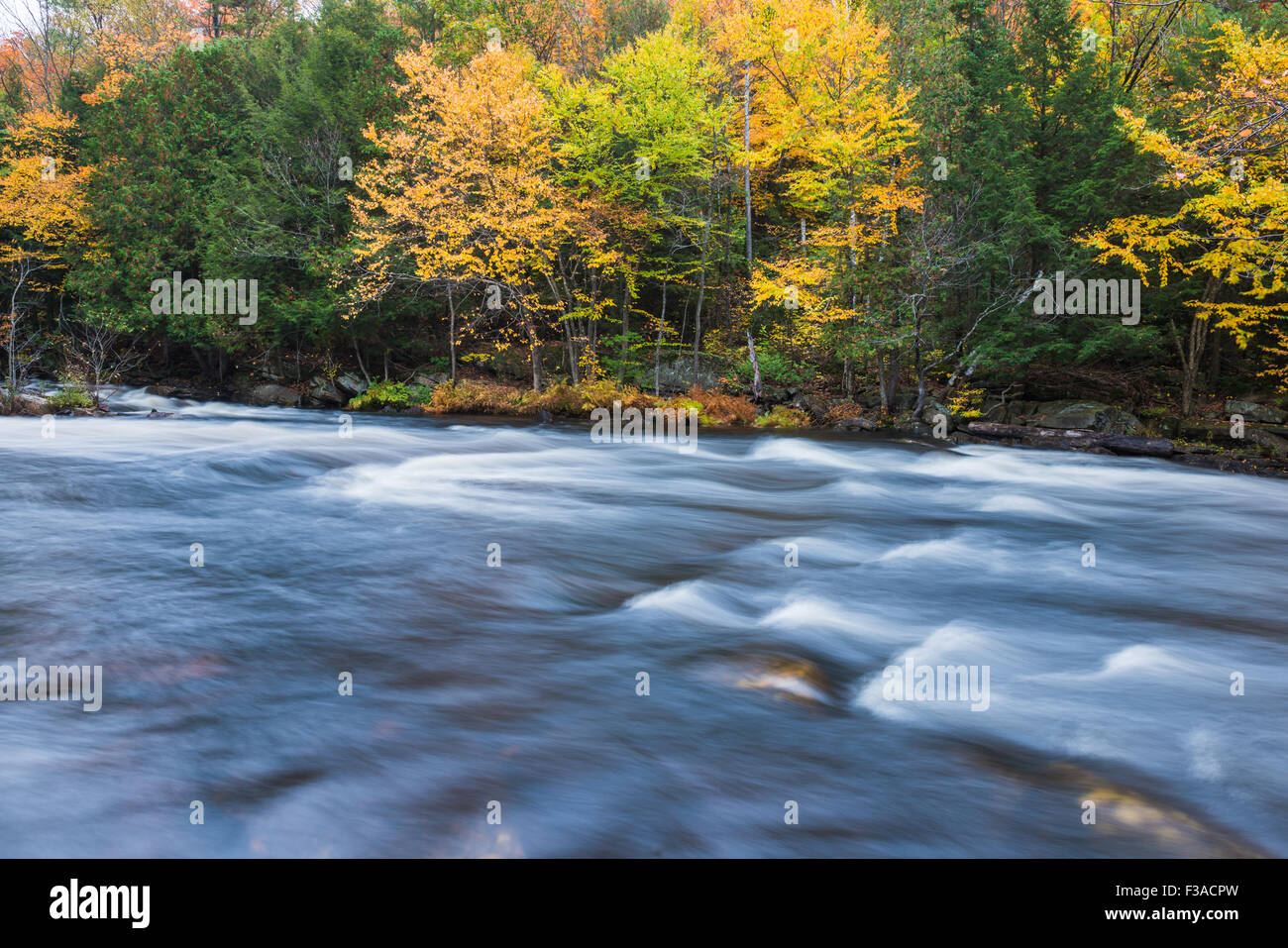 Muskoka river hi-res stock photography and images - Alamy