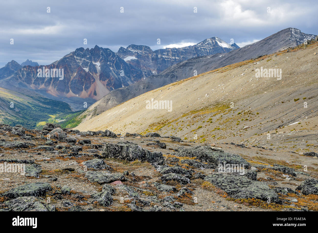 View over Jasper National Park, Alberta, Canada Stock Photo - Alamy
