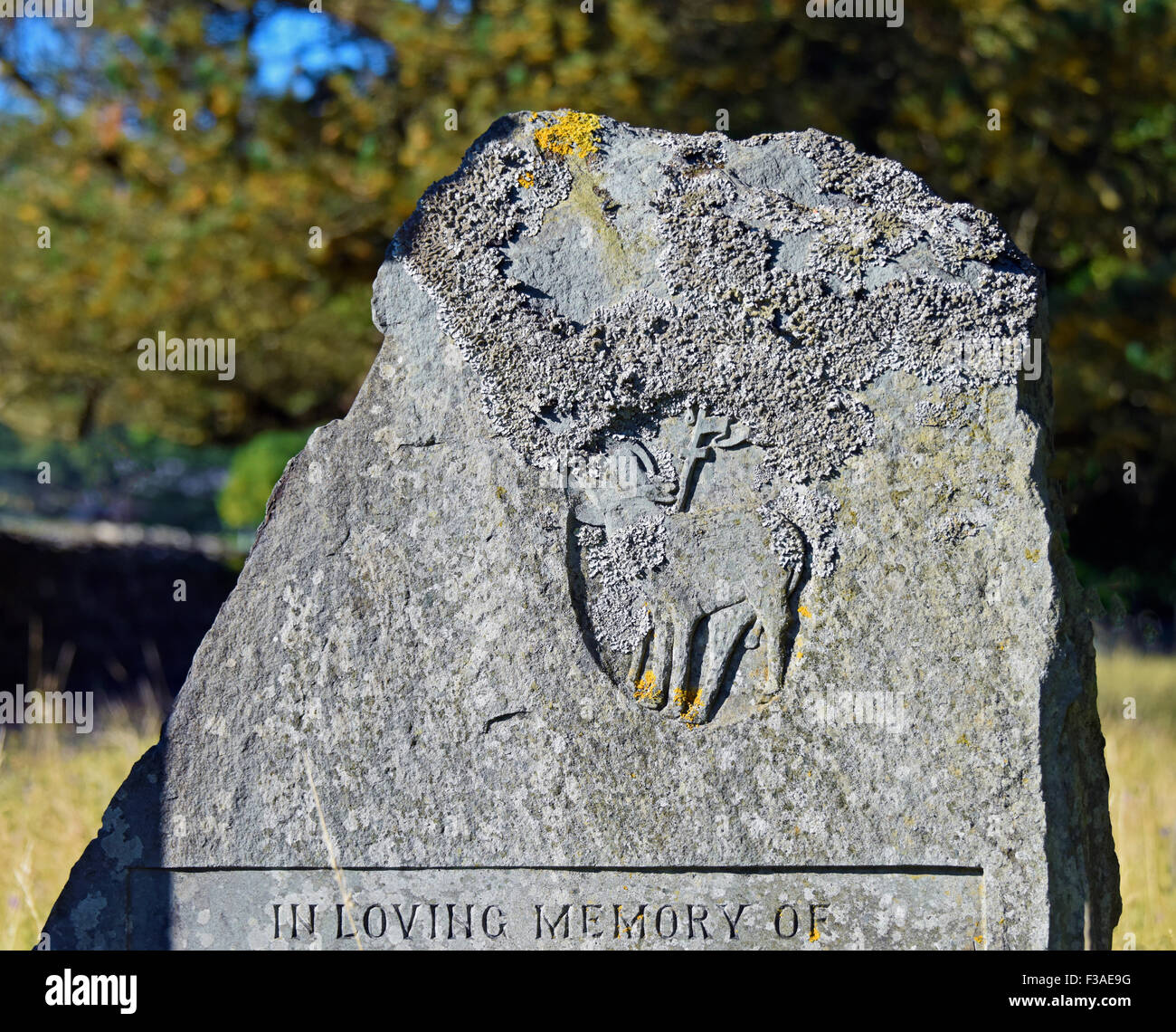 Gravestone with lamb and flag design. Church of Saint Patrick ...