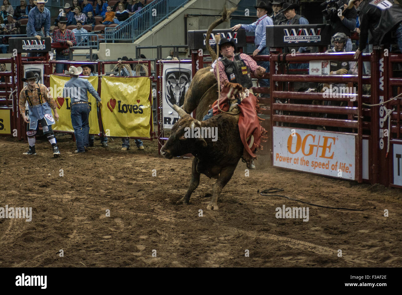 Cowboy riding bucking bull during rodeo in Oklahoma City, Oklahoma, USA ...