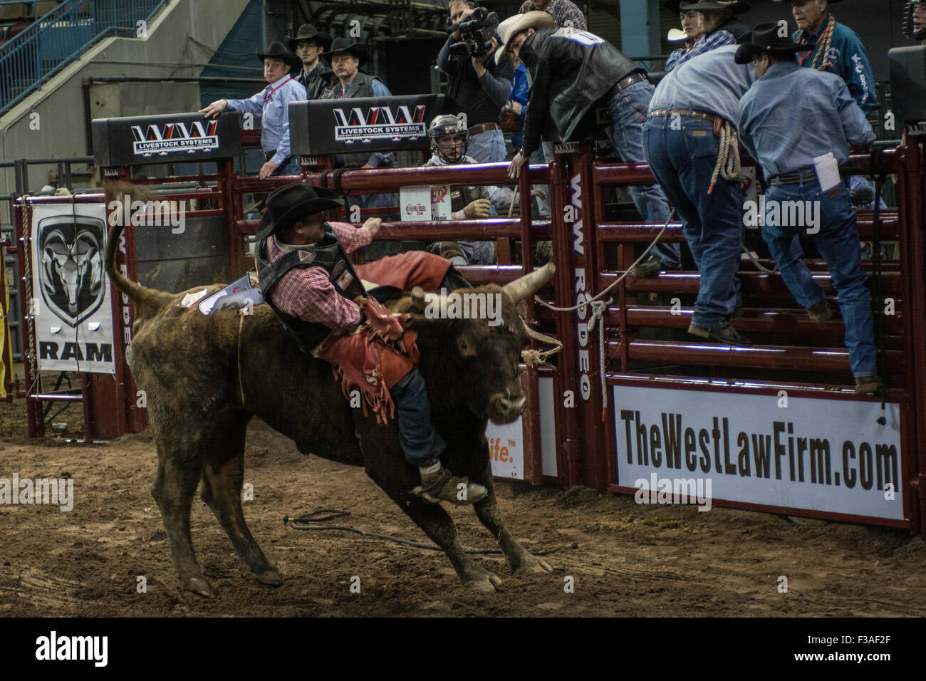 Cowboy falling off bull hi-res stock photography and images - Alamy
