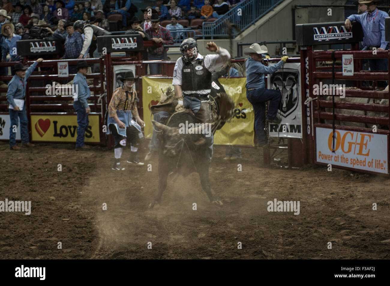 Cowboy falling off bull hi-res stock photography and images - Alamy